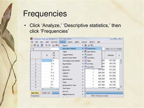 PPT Introduction To SPSS PowerPoint Presentation Free Download ID 802014