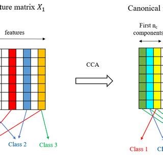 The Principle Of The Equality Between Class Components And The First Download Scientific