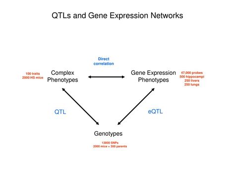 Ppt Fine Mapping Quantitative Trait Loci In Mice And Plants Powerpoint Presentation Id 3359389