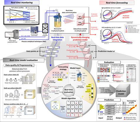 Data Driven Digital Twin Models For Forecasting Multi Step Ahead Profiles Of Mammalian Cell