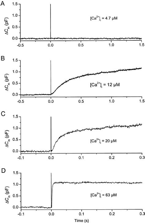 6 The Calcium Dependence Of Exocytosis From Inner Hair Cells Flash