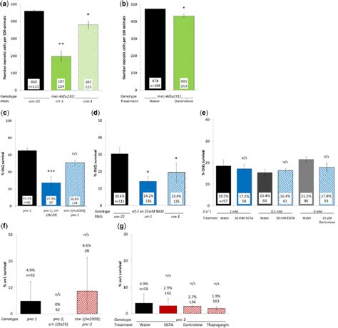 A Calreticulin Null Mutation Has Opposing Effects On Olq And Touch