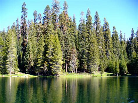 Free Images Tree Wilderness Mountain Meadow Lake Pond