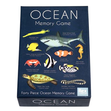 Ocean Memory Game Nelson Classic Car Museum