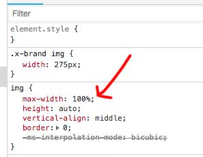 Logo Image Stuck At Size For Mobile View Px Smaller Using CSS Please Help Support