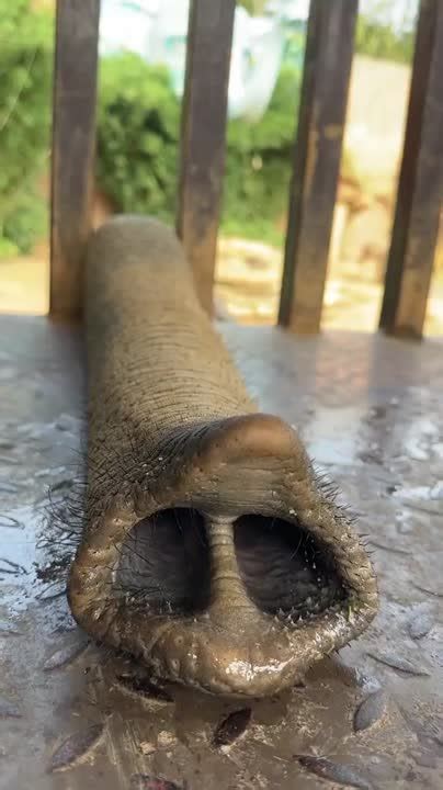 Video Evgeny Yauheni Gusinets Husinets On Linkedin Qa It Development Mems Mem