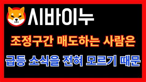 💎시바이누💎 조정구간 매도하는사람 없죠 Youtube