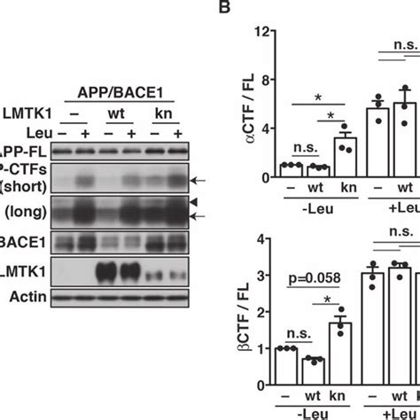 Effect Of Lmtk1a On The β Cleavage Of App A Immunoblots Of App App