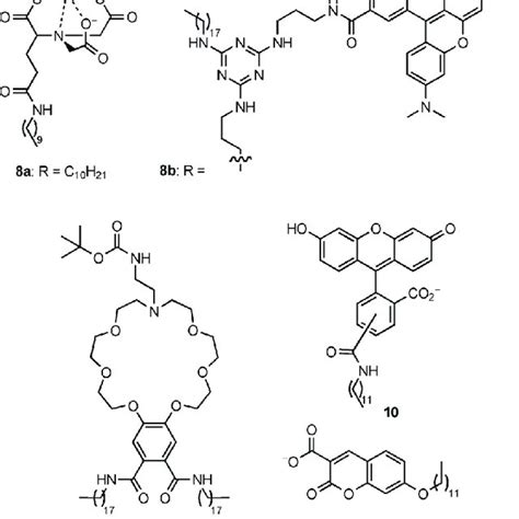 Schematic Presentation Of A The Gel Phase Liquid Disordered Phase Download Scientific