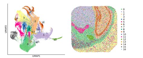 illumina spatial transcriptomics data from curio bioscience is now…
