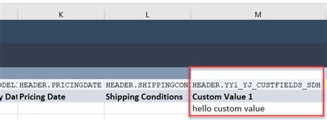 Import Sales Orders Part4 Custom Fields Support Sap Community
