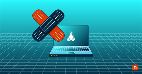 What Is Server Patching And Why Its Important Ninjaone