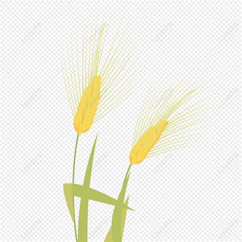 망 밀 귀 자유 자재 Png 일러스트 무료 다운로드 Lovepik