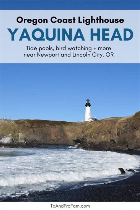 Yaquina Head Lighthouse Newport Or Tide Pools Whales Tours More