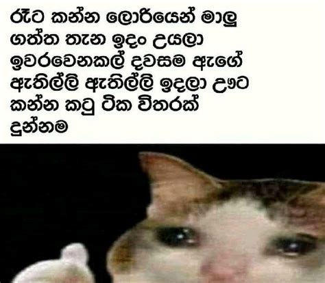 Sinhala Joke Posts