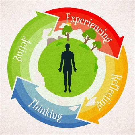The Kolb Experiential Learning Cycle Is The Most Widely Recognized And