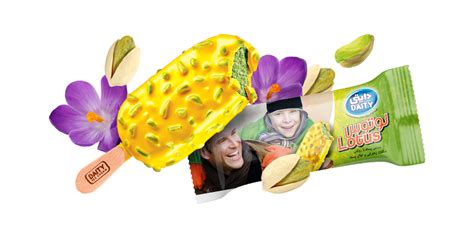 برند ها دایتی بستنی چوبی شرکت زرین غزال