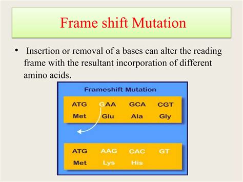 Genetic Code Ppt Pptx Programming Languages Computing