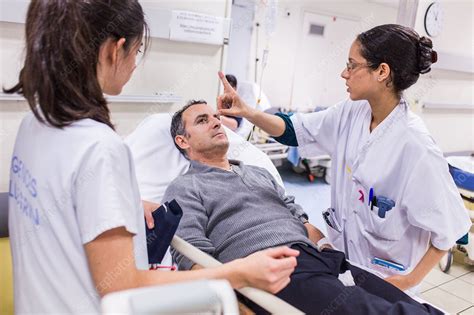 Neurovascular Unit Stock Image C0348891 Science Photo Library