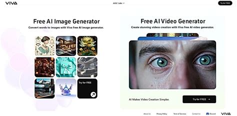 florin lungu on linkedin viva ai reviews use cases pricing