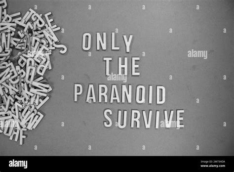 Only The Paranoid Survive In Wooden English Words Language Capital