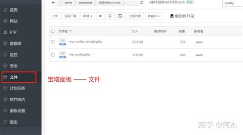 Wordpress建立数据库连接时出错 知乎