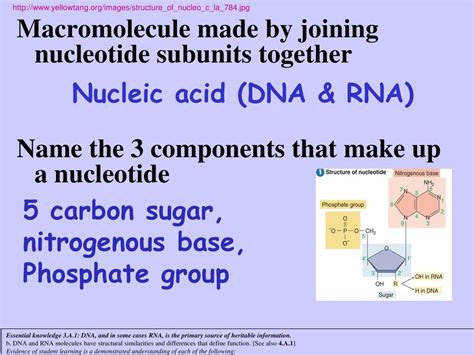 What Sugar Is In Rna At Eden Disney Blog