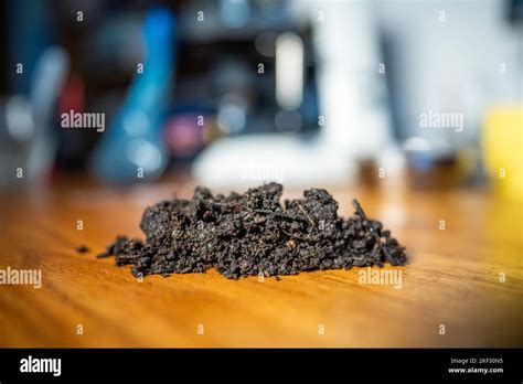 Working In A Soil Lab Iwth Soil Samples Testing A Soil Test In