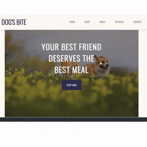 Crafting An Engaging Pet Food Shop Template Html Css Javascript