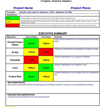 Testing Daily Status Report Template