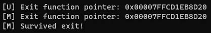 Unmanaged NET Patching Kyle Avery