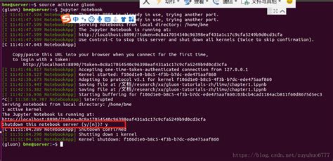 ubuntu 终端 退出jupyter notebook ubuntu如何关闭jupyter lab服务 csdn博客