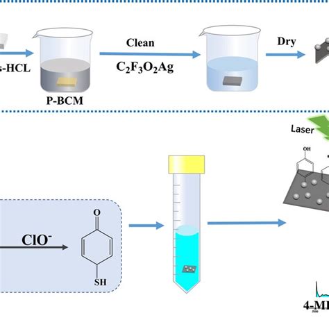 Schematic Diagram Of The Preparation Of Flexible Silver Substrates And