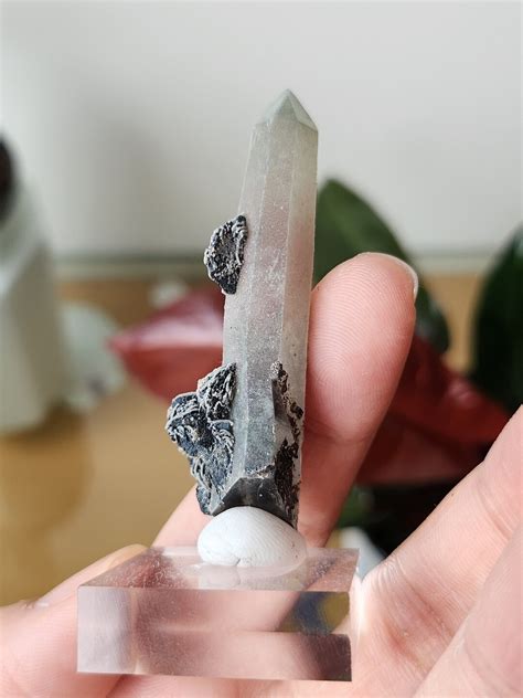 Rare Quartz Point With Hematite Rosette Blade From Inner Mongolia