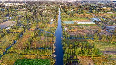 Chinampas Xochimilco