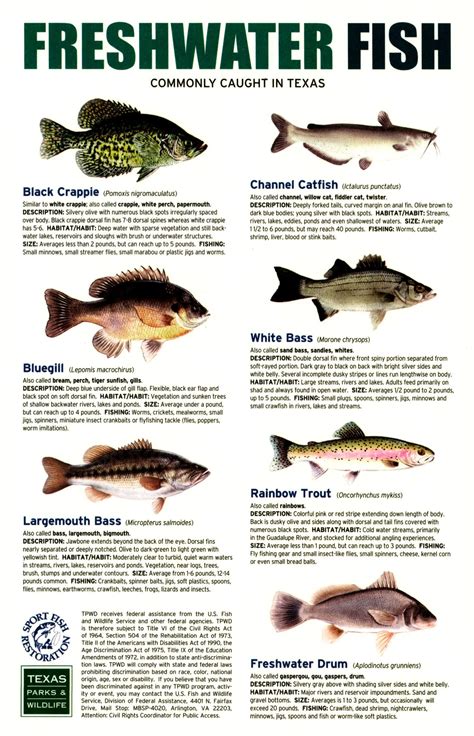 Ask The Pros How To Tell A Spotted Bass From A Largemouth Bass Artofit