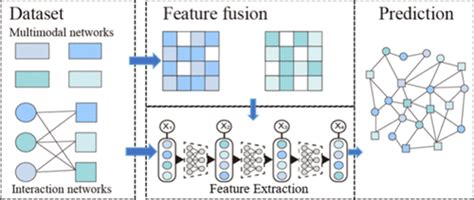 Predicting Circrnadisease Associations Through Multisource Domain