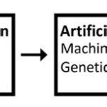 Optimization And Validation Workflow Download Scientific Diagram