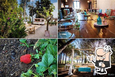 Embolic By Moon Menú Del Restaurante Precios Y Reseñas