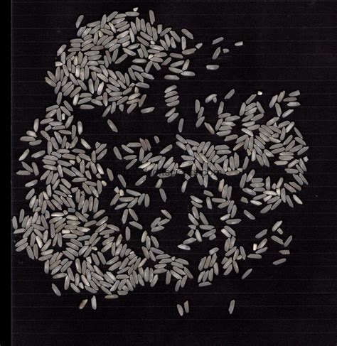 Perbandingan Hasil Segmentasi Otsu Vs Unet Deep Learning Softscients