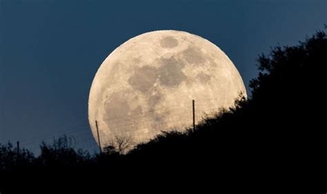 Supermoon 2020 When Is The Next Supermoon How To See Super Flower
