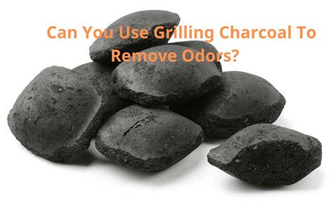 Can You Use Grilling Charcoal To Remove Odors 2024