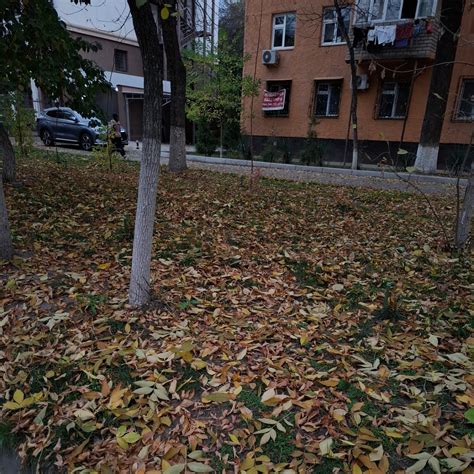 쇼나 오늘 진짜 좋은 하루가 되었다 🥰잊지 않기 위해 여기에 포스트를 넘길게🙃 진라면은 항상 맛있다 ㅋㅋ 내가 직접 만들었던 스크래치 캘리그래피 정말 재미있었다😍