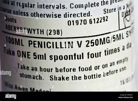 What Is Antibiotic Penicillin At Grace Reinhold Blog
