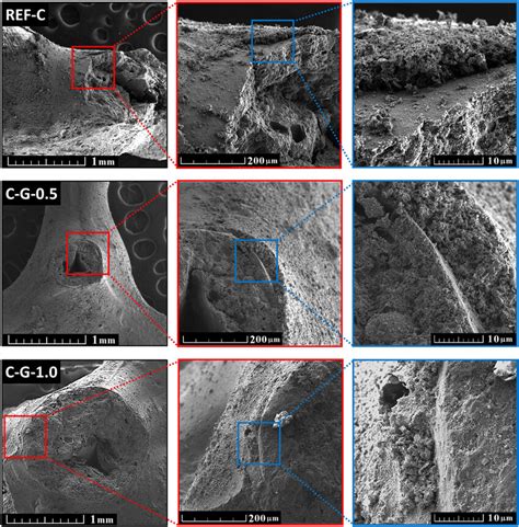 Sem Micrographs Of Broken Coated Filter Struts At Various