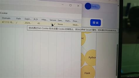 记录一次跨域cookie携带问题 Samesite Secure和前后端设置 包括nginx反向代理和vite的前端设置 掘金