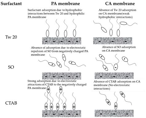 Effect Of Surfactants On Reverse Osmosis Membrane Performance