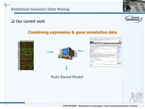 Ppt Mining The Genome Powerpoint Presentation Free Download Id35781