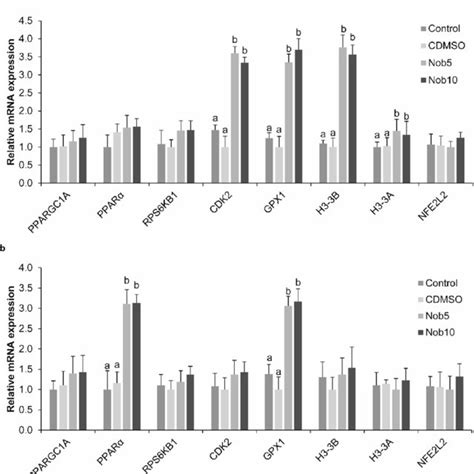 Relative Mrna Transcript Abundance Of Embryo Development Related Genes