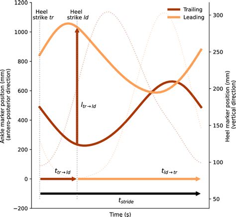 Scheme For Spatiotemporal Parameters Computation During Skipping Solid